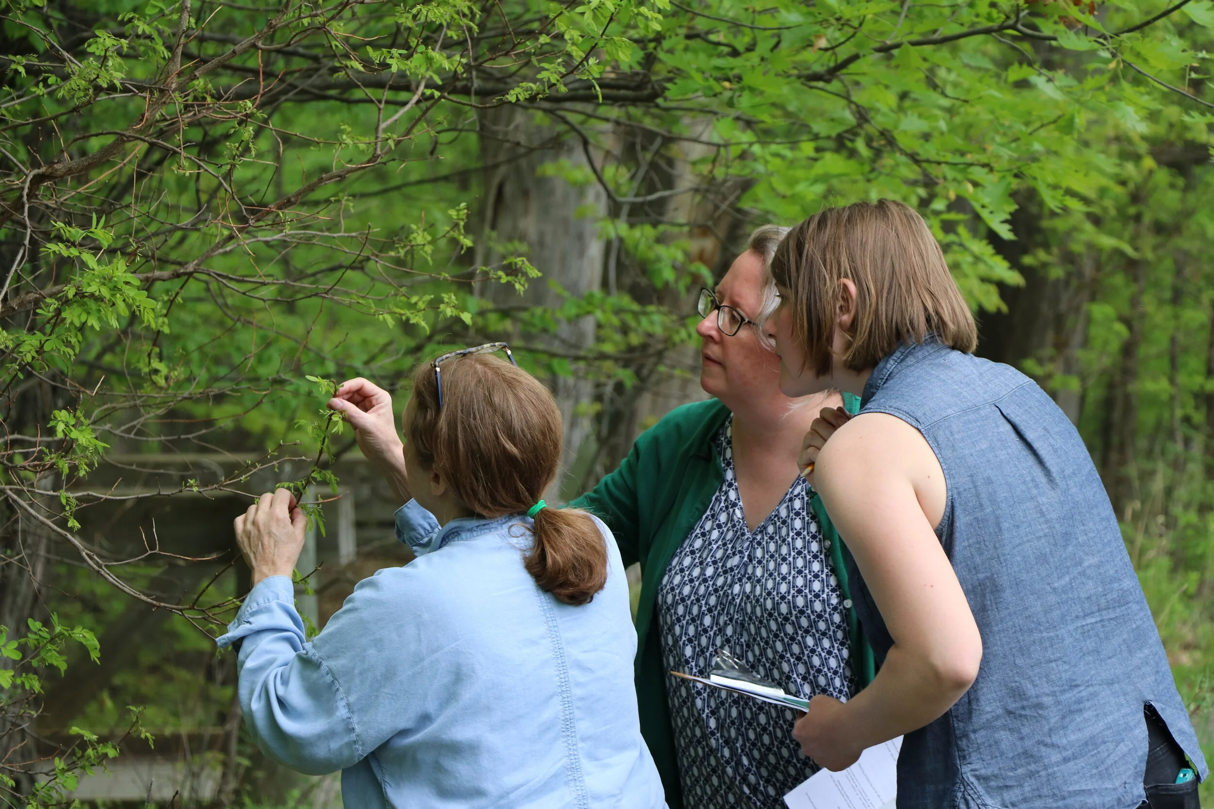 Cayuga Nature Center