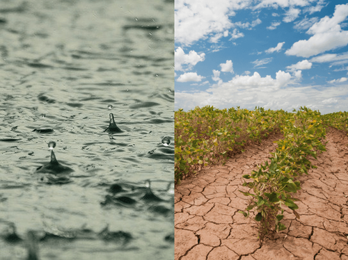 Exhibits — Cayuga Nature Center