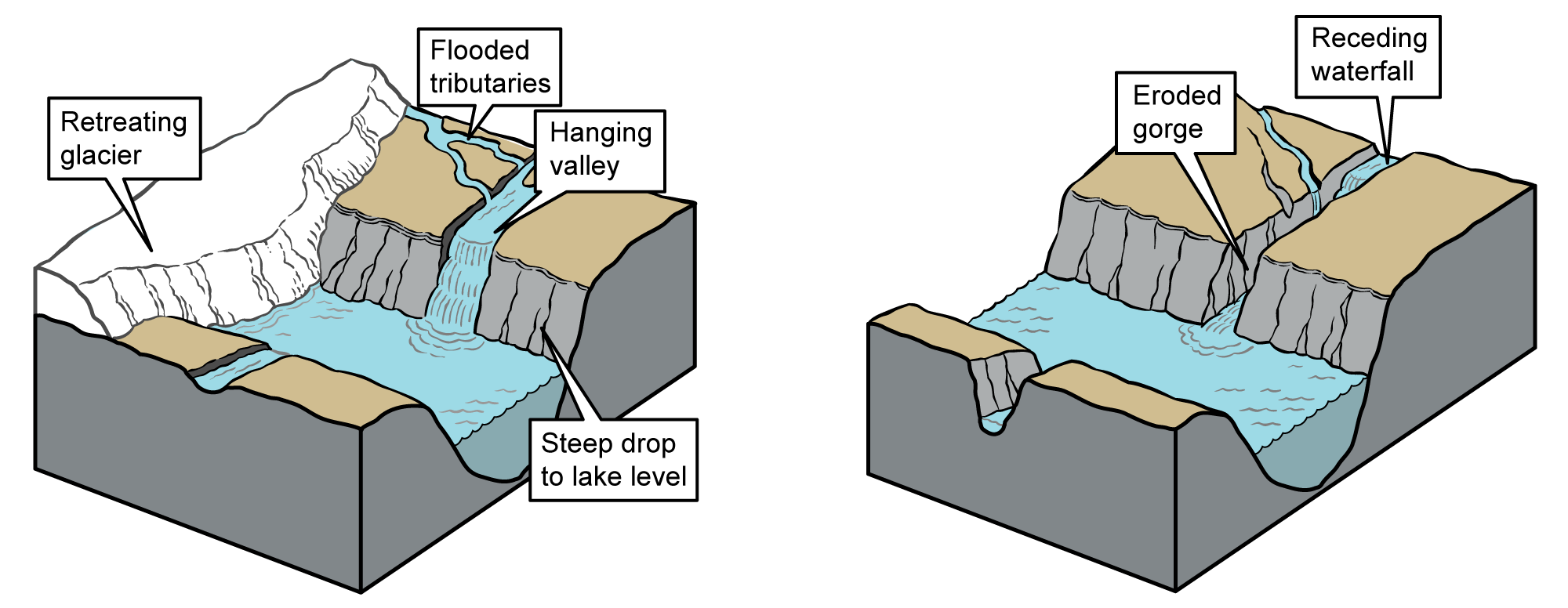 Devonian Geology | NY Rocks! Ancient Life of the Empire State — Museum ...