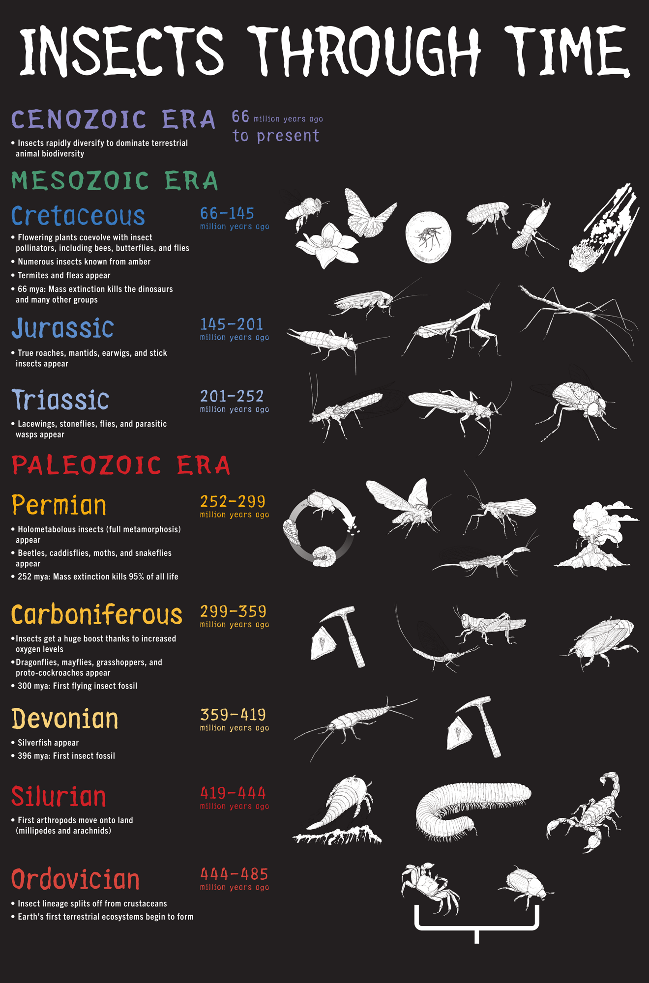 Introduction | Six-Legged Science: Unlocking the Secrets of the Insect ...