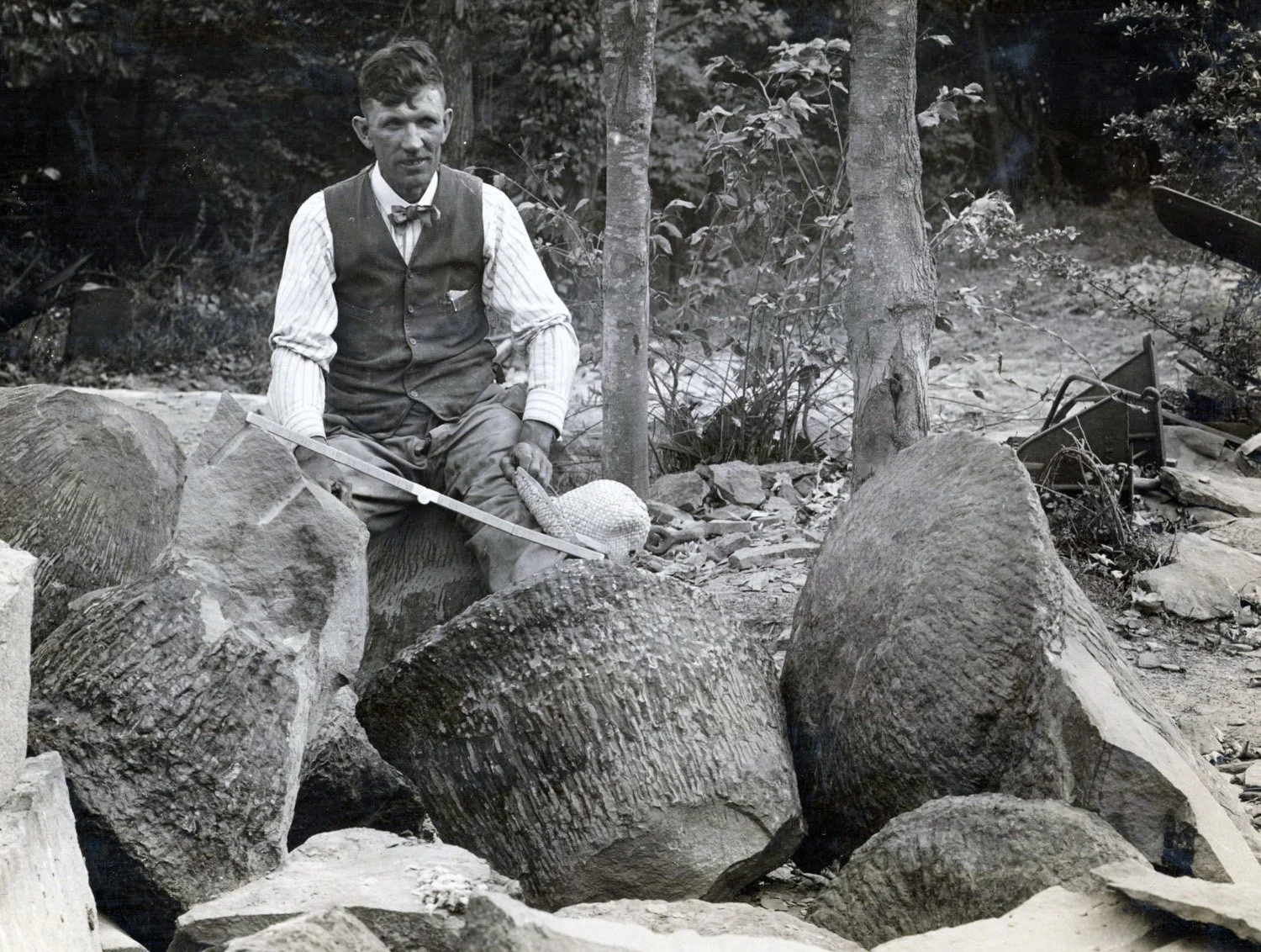 Devonian Life on Land | NY Rocks! Ancient Life of the Empire State ...