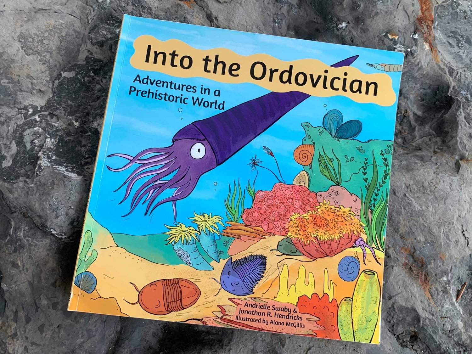 Pre-Devonian | NY Rocks! Ancient Life of the Empire State — Museum of ...