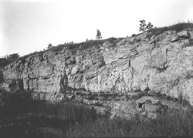 Devonian Geology | NY Rocks! Ancient Life of the Empire State — Museum ...