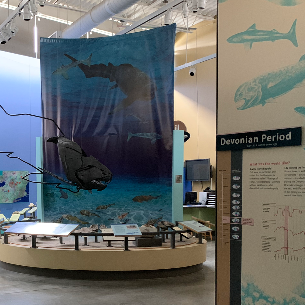 A Journey Through Time — Museum of the Earth