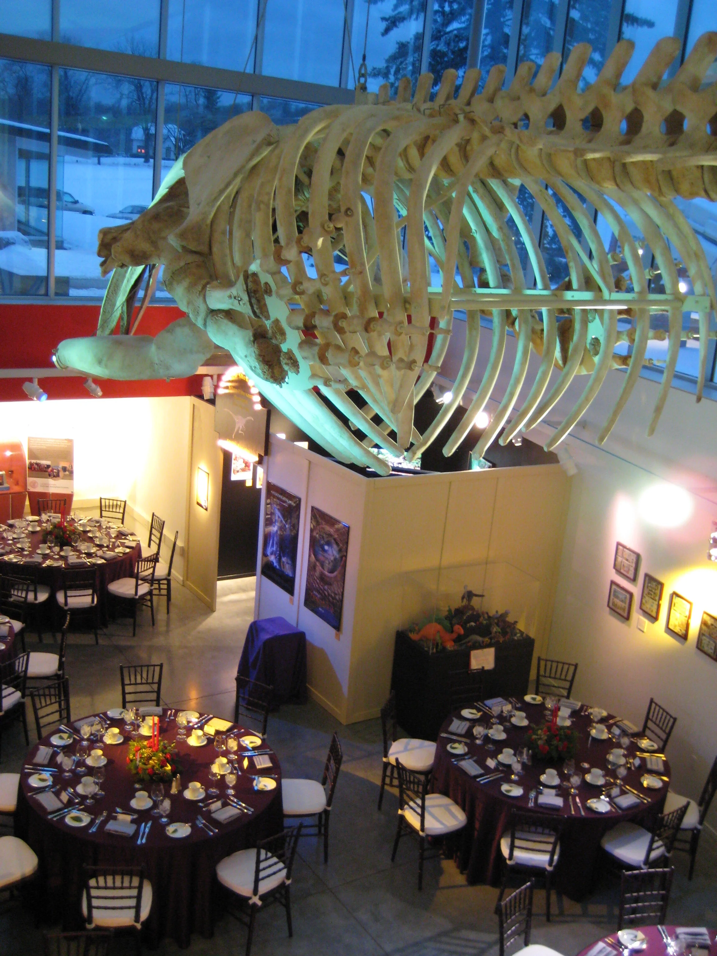 Rent Our Space — Museum of the Earth