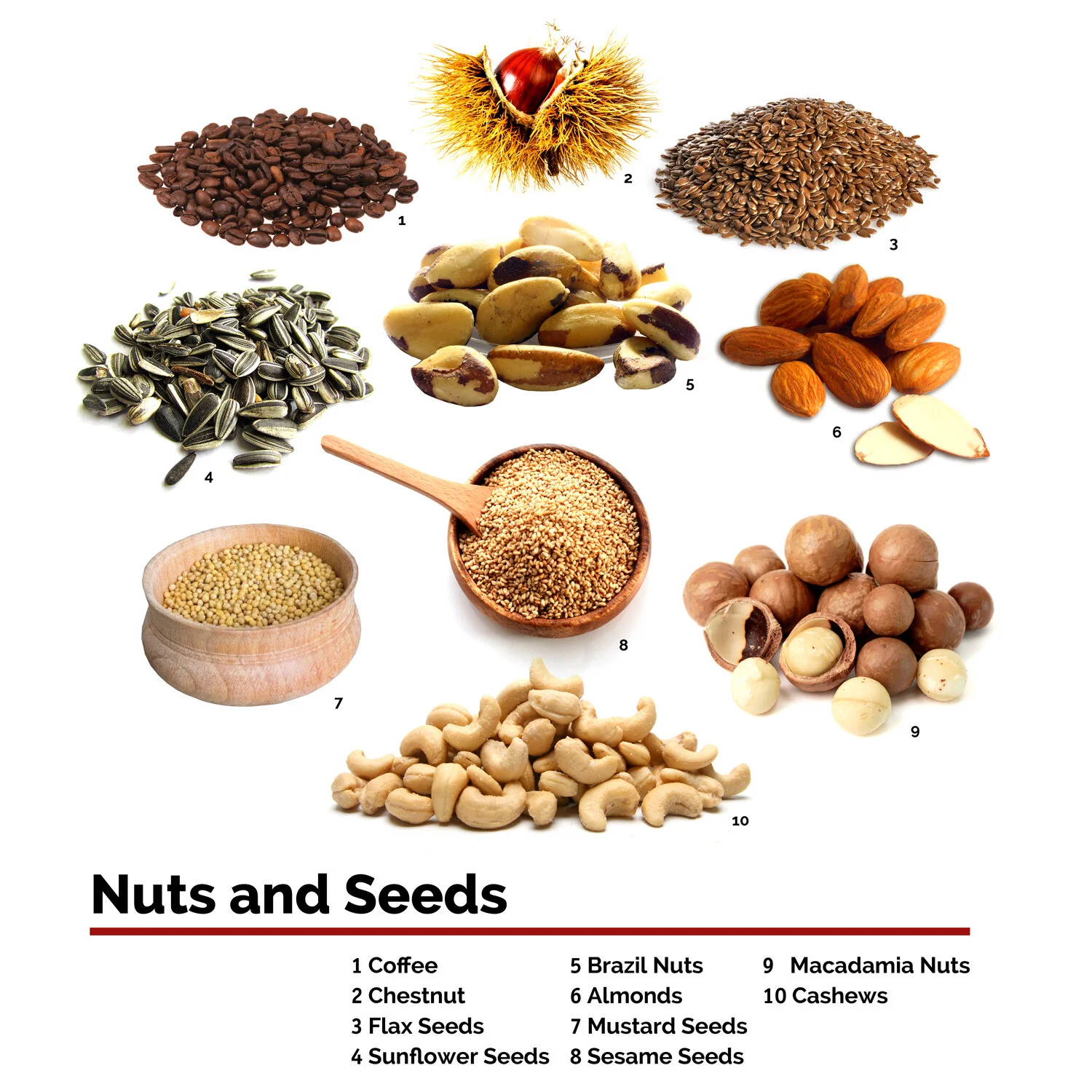 Bees and Agriculture — Museum of the Earth