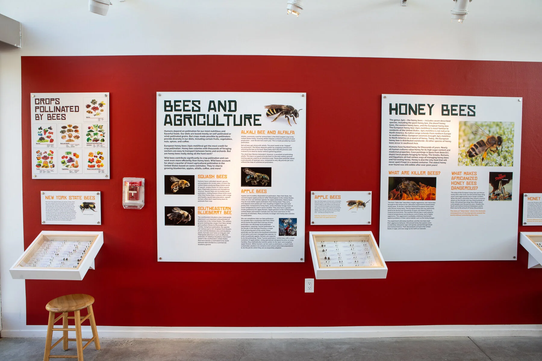 Bees and Agriculture — Museum of the Earth