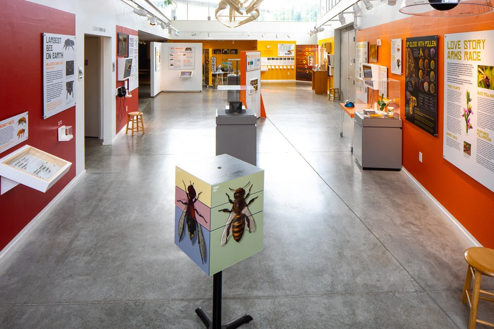 Welcome — Museum of the Earth