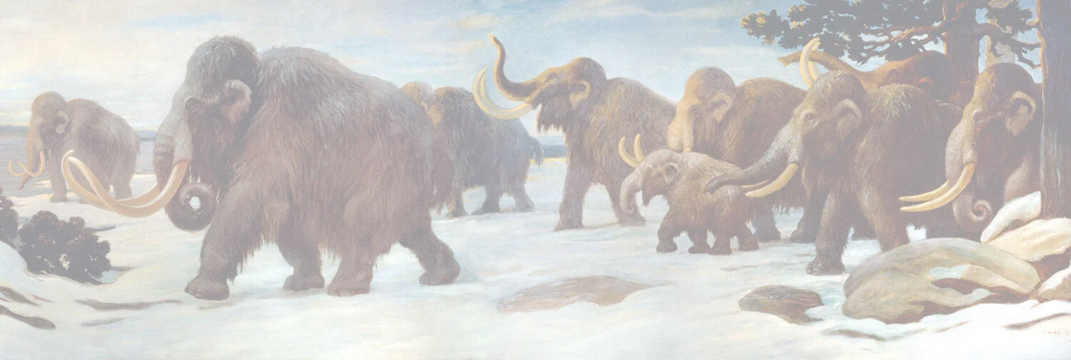 Temperature & Carbon Dioxide Through Time | Changing Climate: Our ...