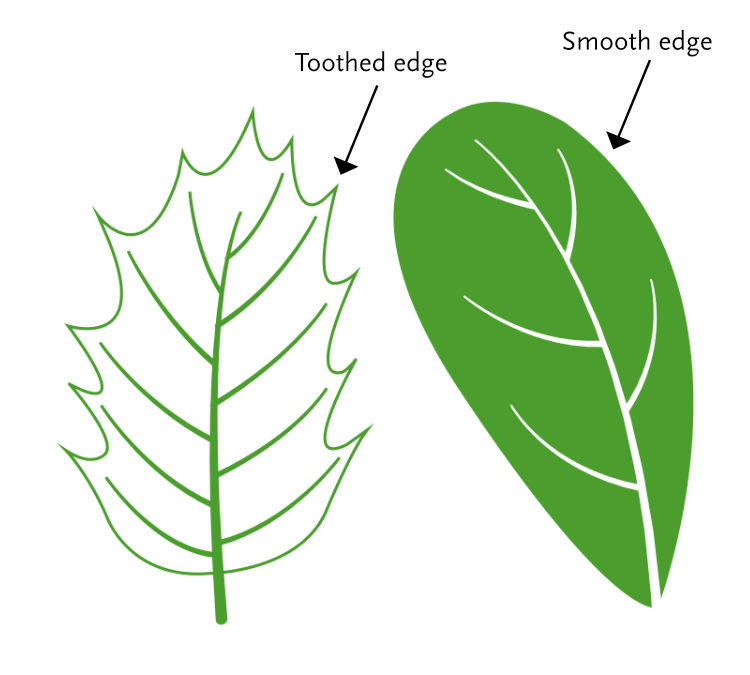 Climate Proxies | Changing Climate: Our Future, Our Choice — Museum of ...