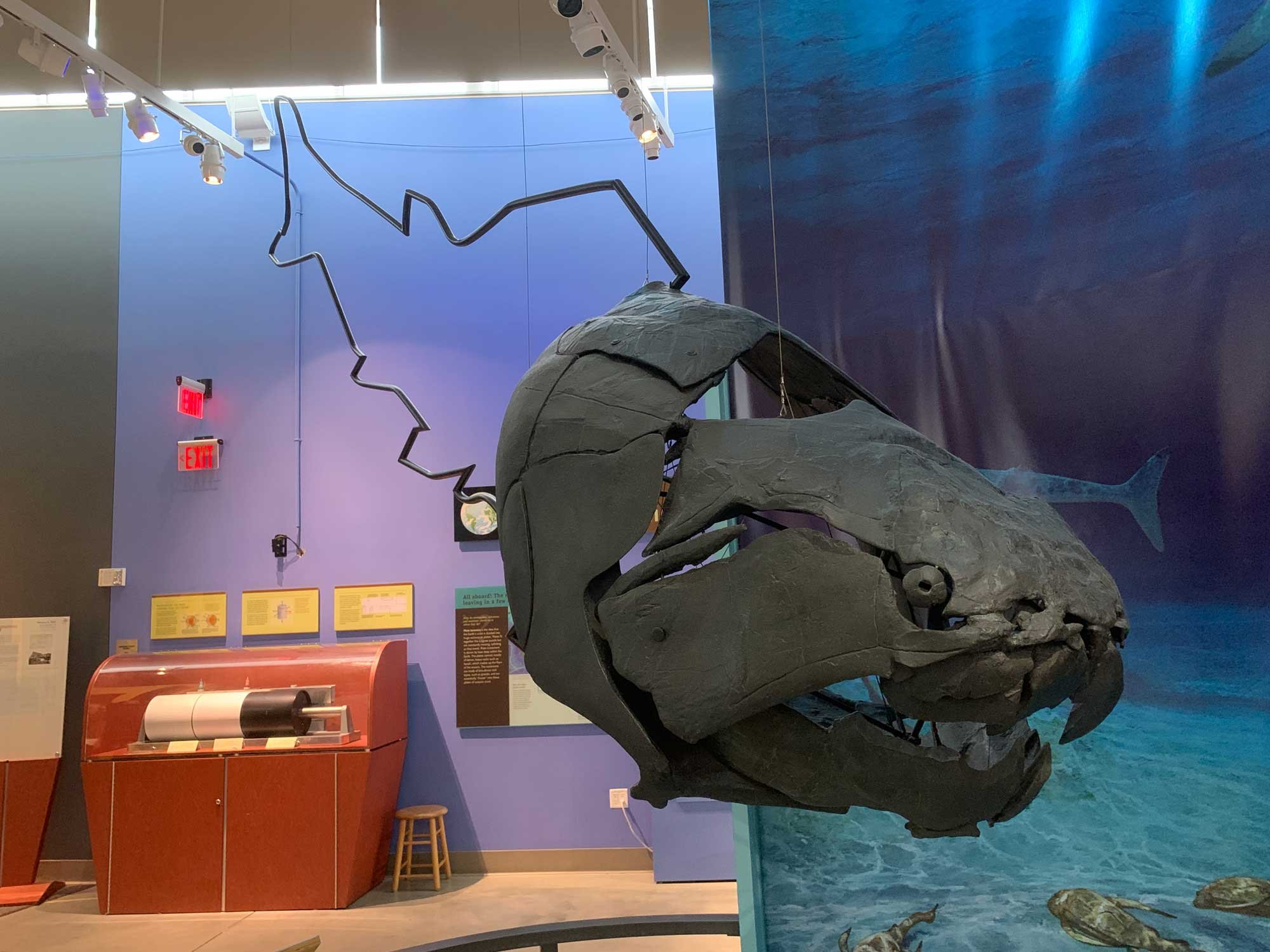 Fish — Museum of the Earth
