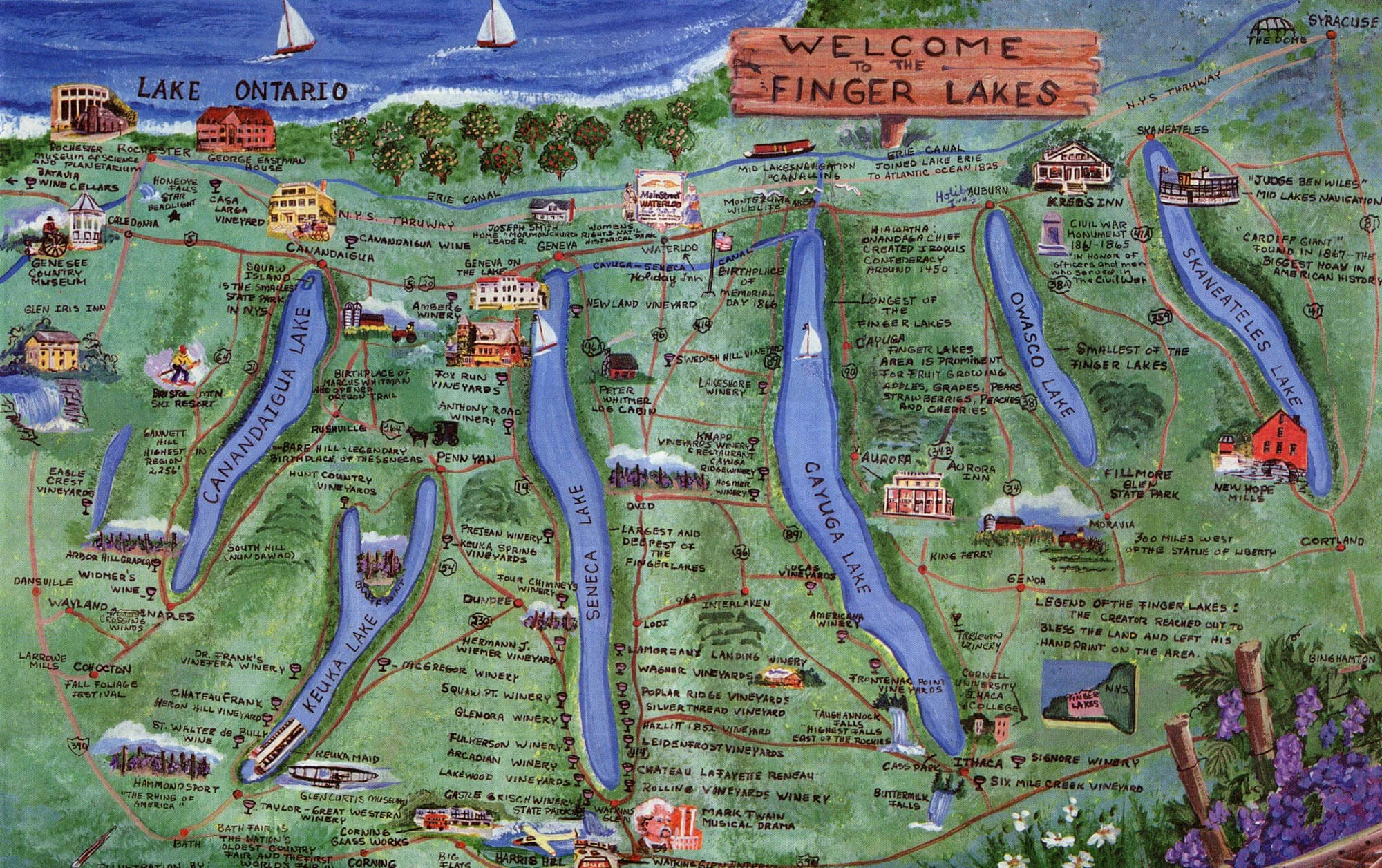 Devonian Geology | NY Rocks! Ancient Life of the Empire State — Museum ...