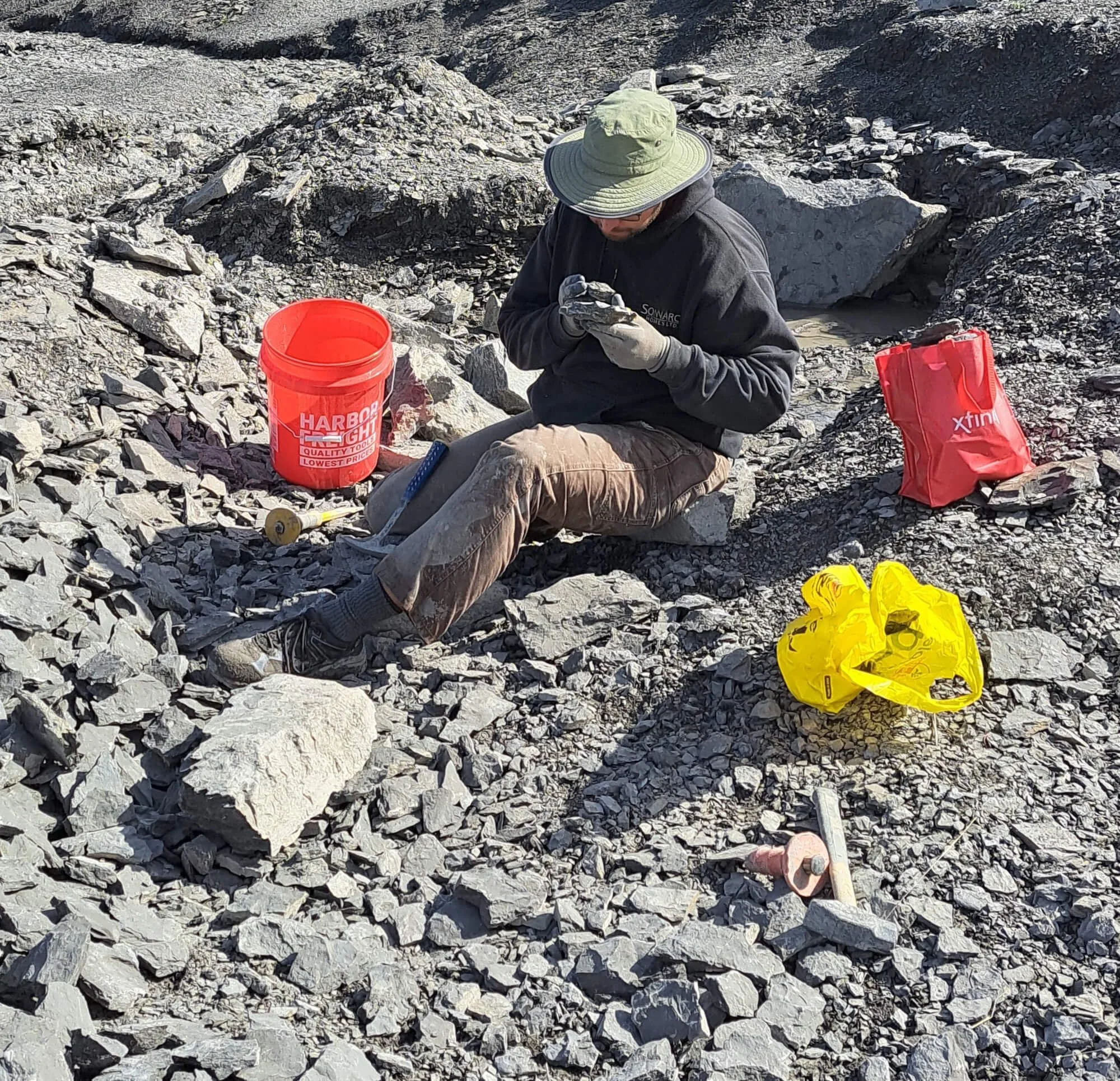 Devonian Geology | NY Rocks! Ancient Life of the Empire State — Museum ...