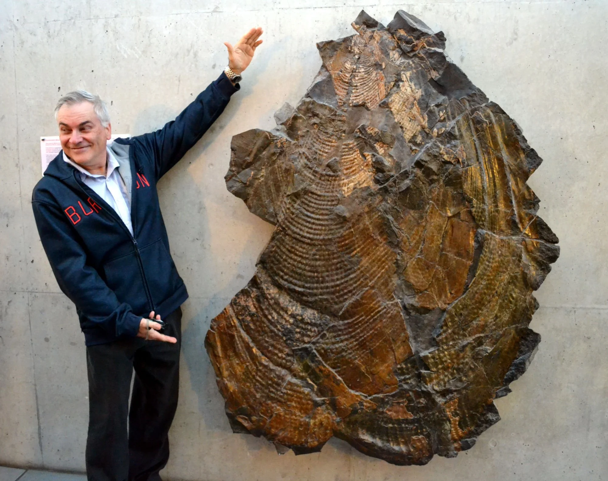 Bivalves | Marvelous Mollusks — Museum of the Earth