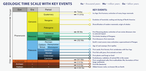 Introduction | NY Rocks! Ancient Life of the Empire State — Museum of ...