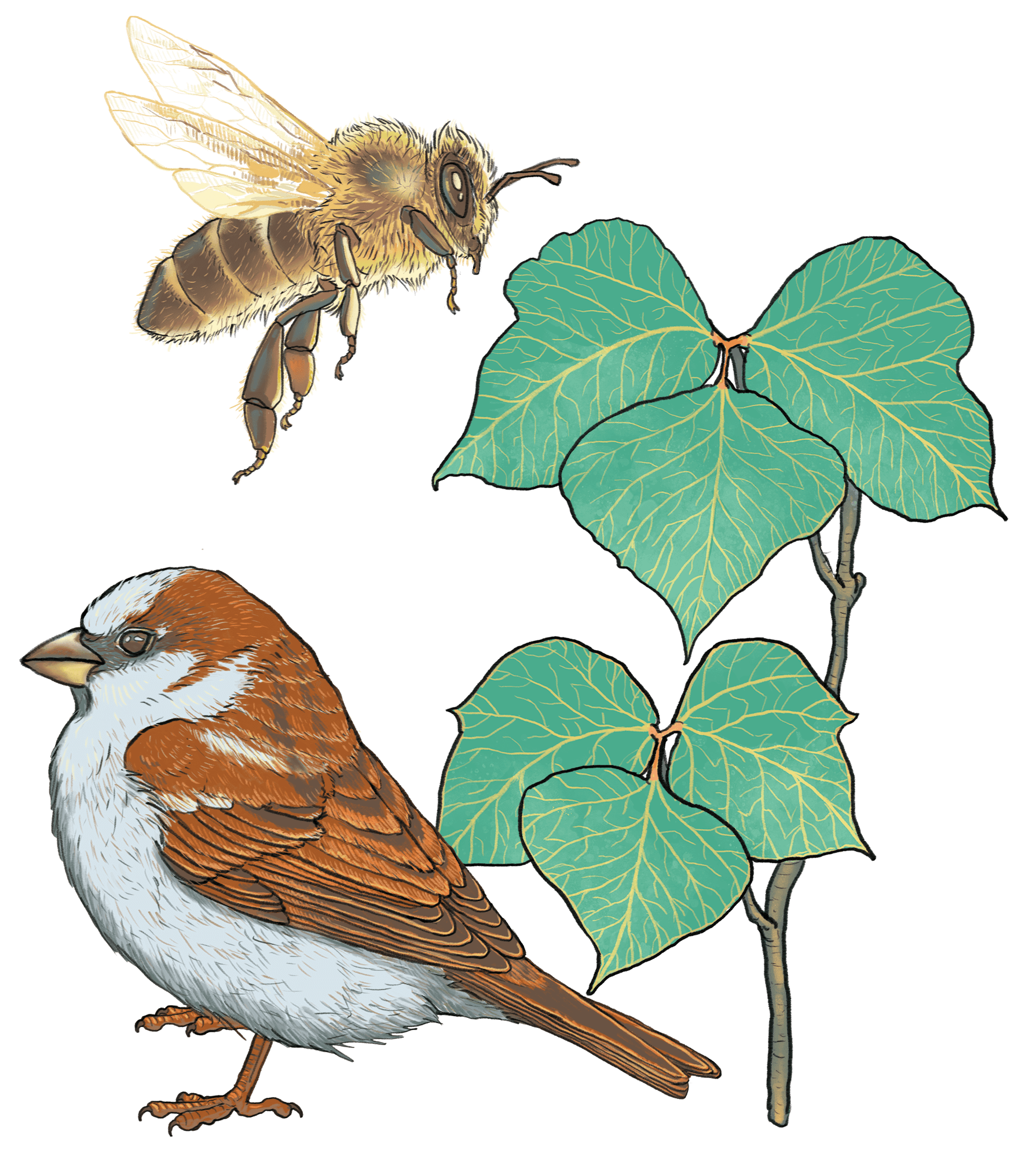 Insect Apocalypse | Six-Legged Science: Unlocking the Secrets of the ...