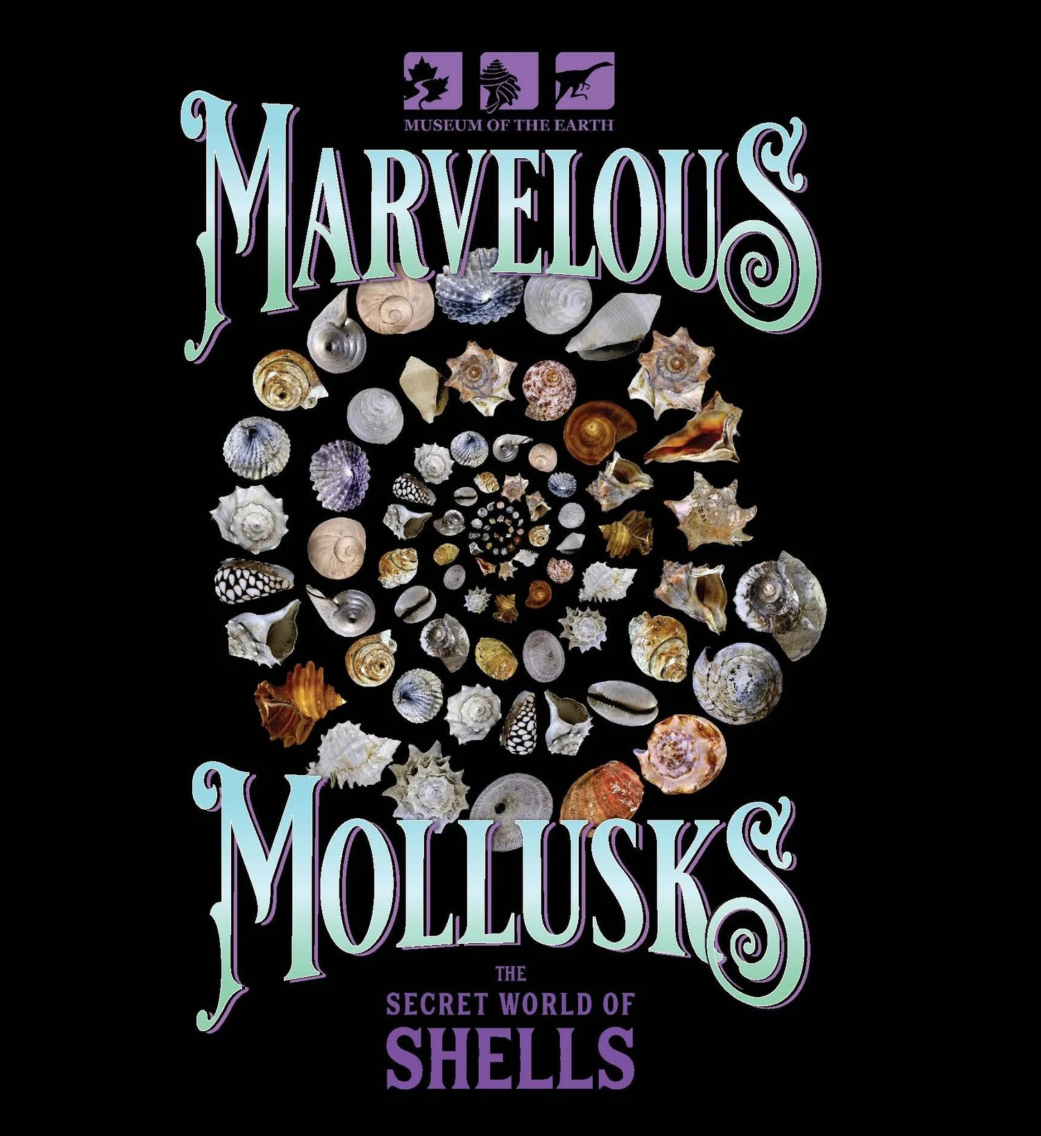 Marvelous Mollusks — Museum of the Earth