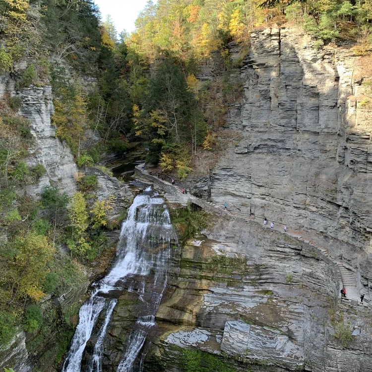 Devonian Geology | NY Rocks! Ancient Life of the Empire State — Museum ...