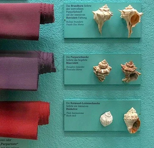 Humans & Mollusks — Museum of the Earth