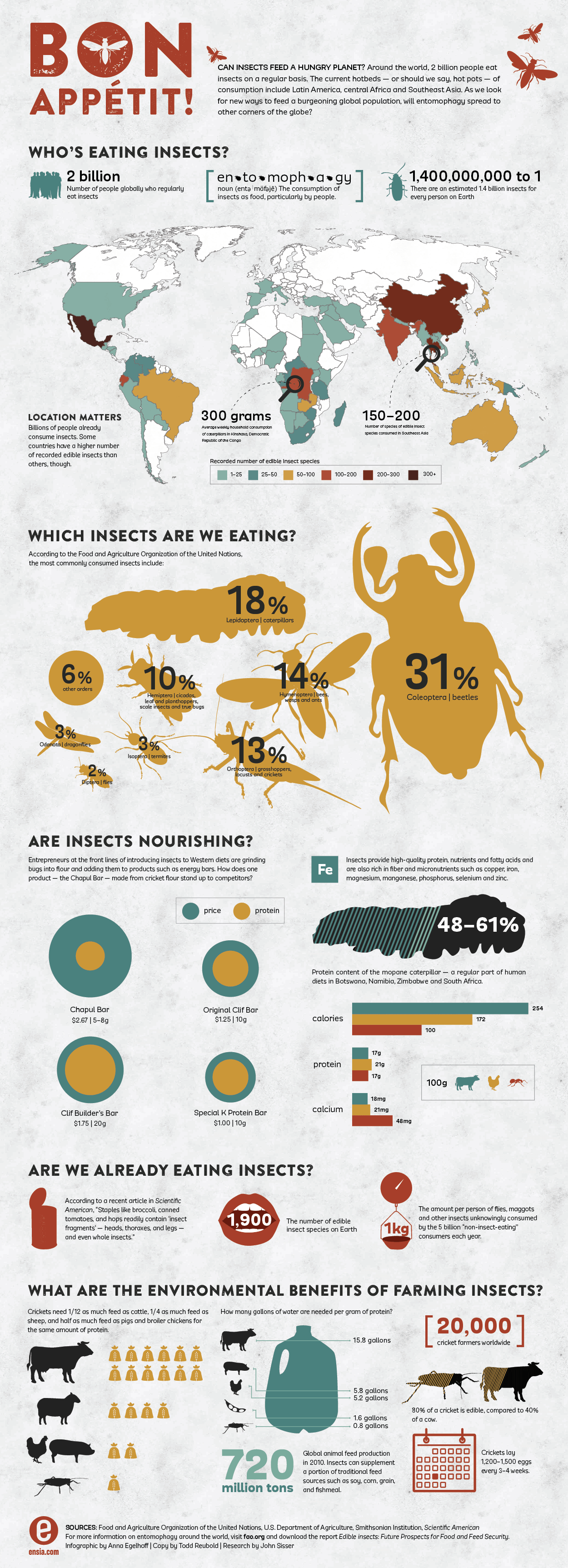 Insects & Society | Six-Legged Science: Unlocking the Secrets of the ...