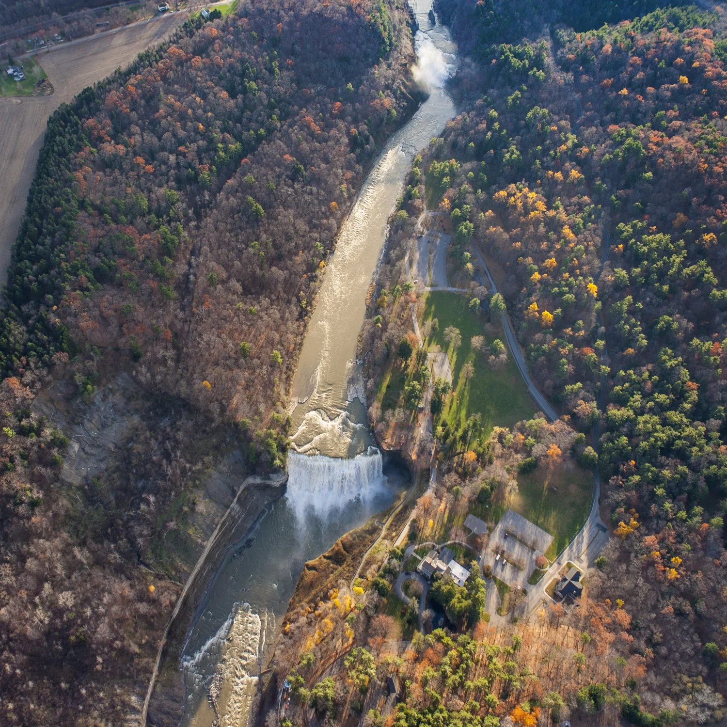 Devonian Geology | NY Rocks! Ancient Life of the Empire State — Museum ...