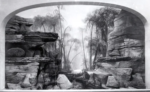 Devonian Life on Land | NY Rocks! Ancient Life of the Empire State ...