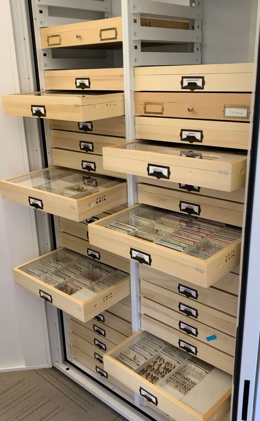 What is the CUIC? | Six-Legged Science: Unlocking the Secrets of the ...