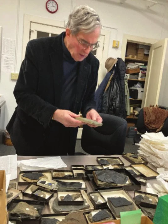 Collections & Research | NY Rocks! Ancient Life of the Empire State ...