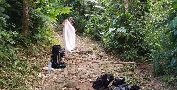 Collection | Six-Legged Science: Unlocking the Secrets of the Insect ...