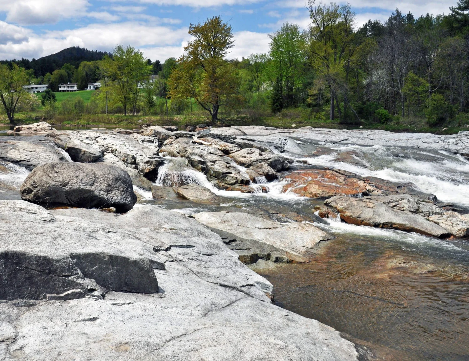 Pre-Devonian | NY Rocks! Ancient Life of the Empire State — Museum of ...