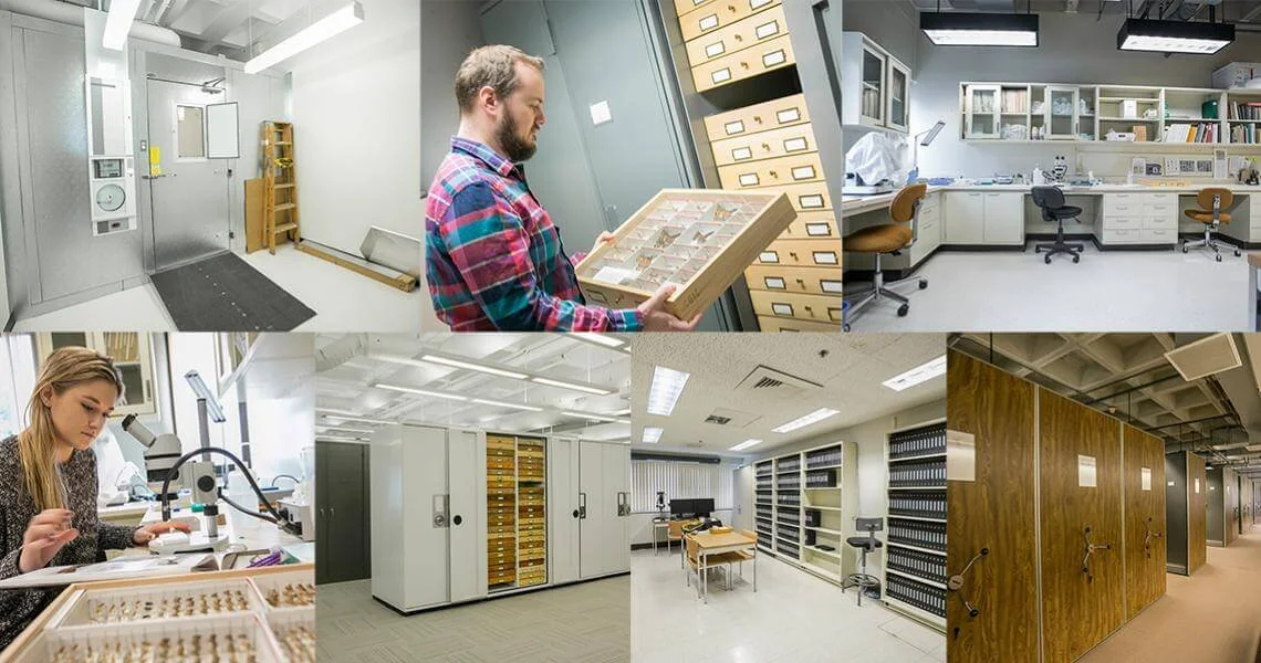 What is the CUIC? | Six-Legged Science: Unlocking the Secrets of the ...