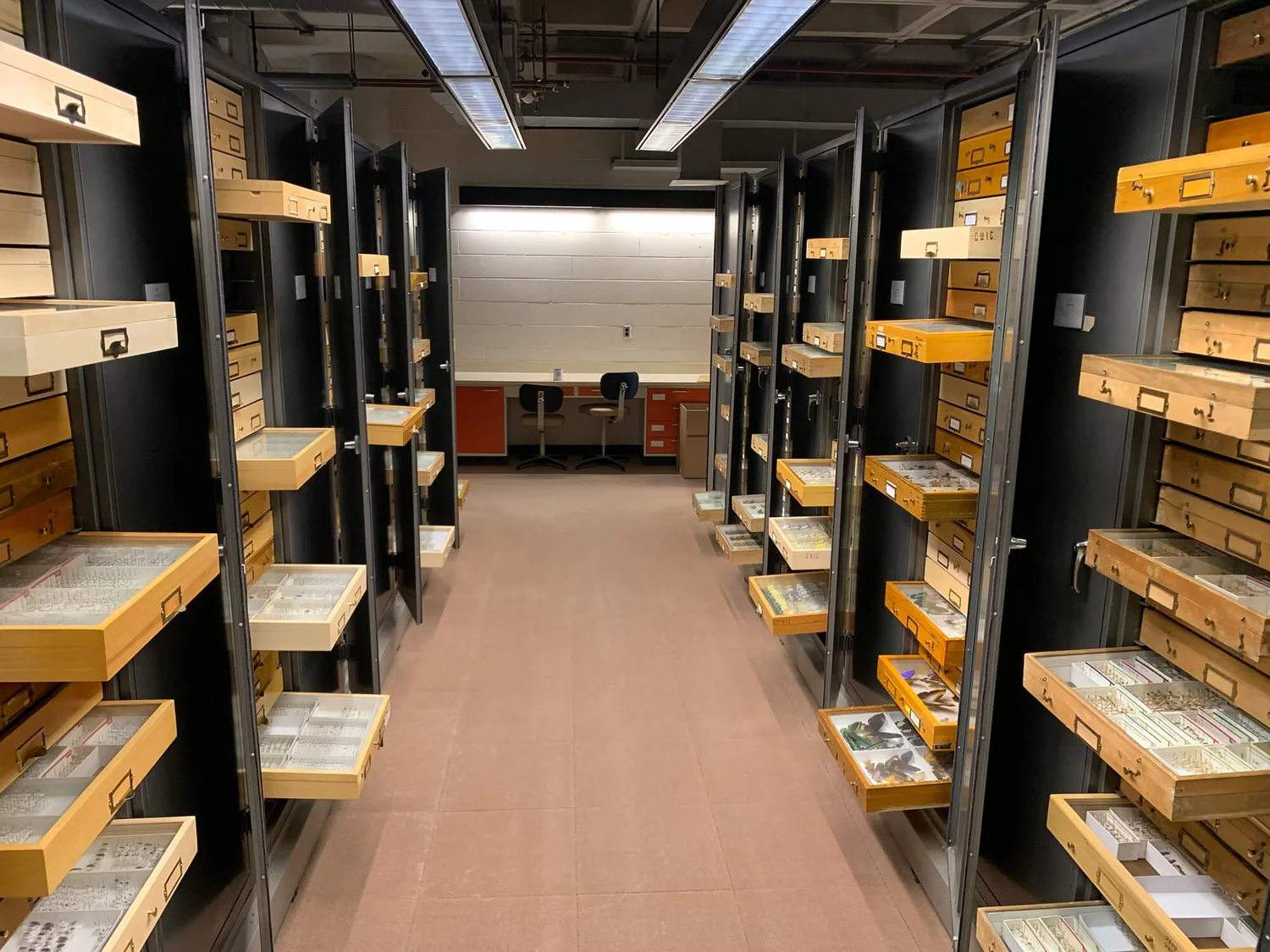 What is the CUIC? | Six-Legged Science: Unlocking the Secrets of the ...