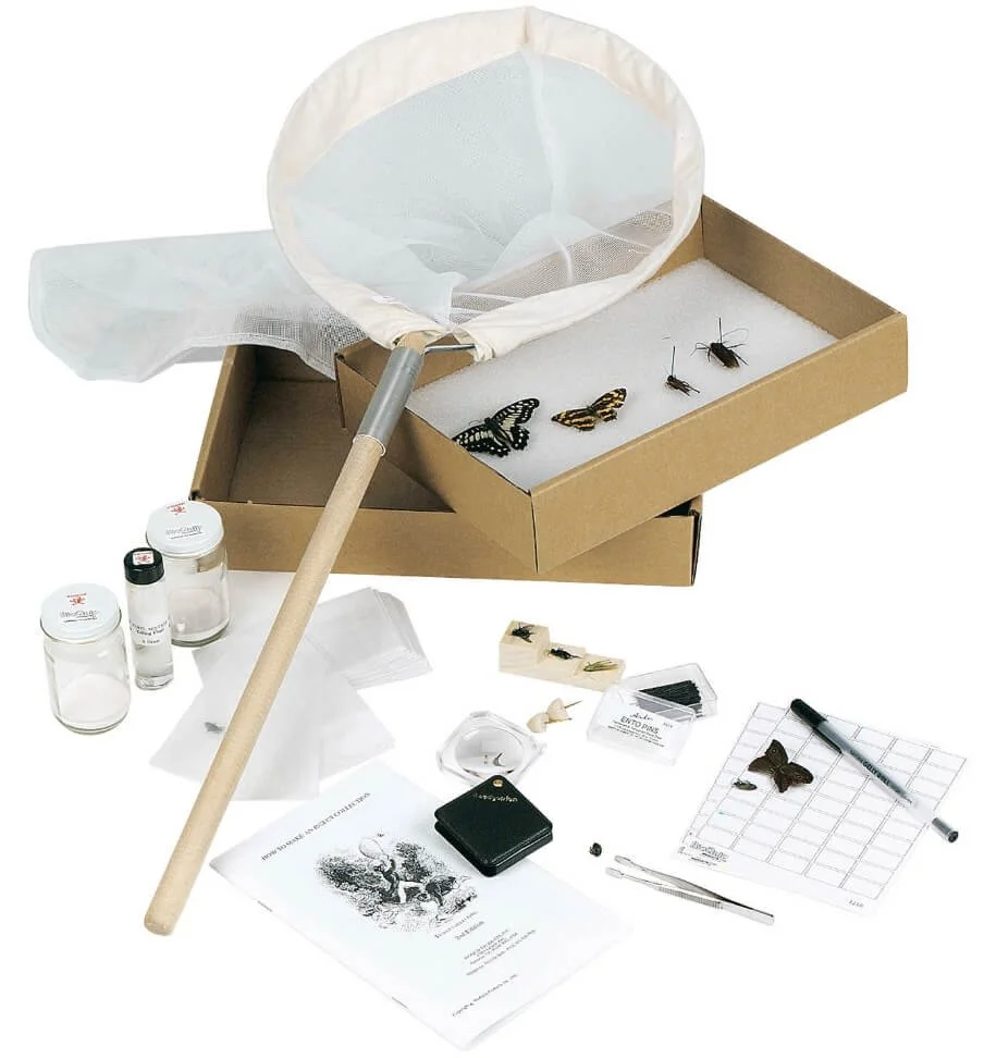 Collection | Six-Legged Science: Unlocking the Secrets of the Insect ...