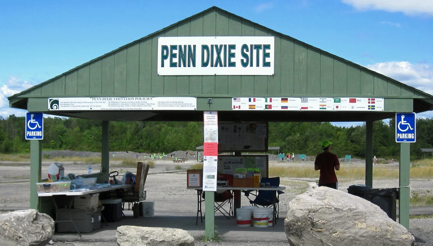 Devonian Geology | NY Rocks! Ancient Life of the Empire State — Museum ...