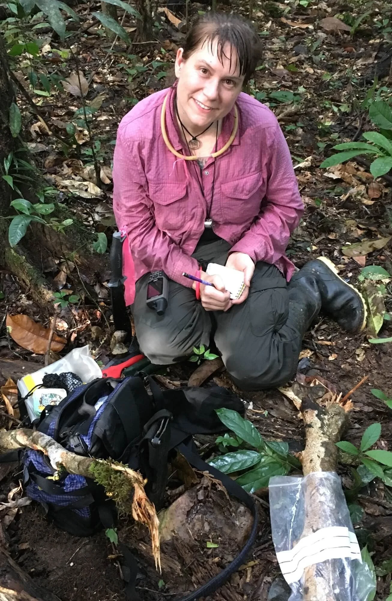 Collection | Six-Legged Science: Unlocking the Secrets of the Insect ...