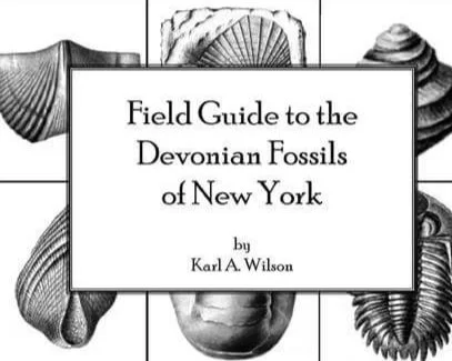 Fossil ID — Museum of the Earth