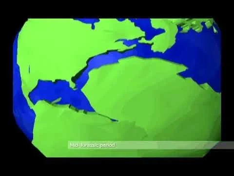 A Journey Through Time — Museum of the Earth