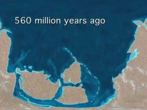 A Journey Through Time — Museum of the Earth