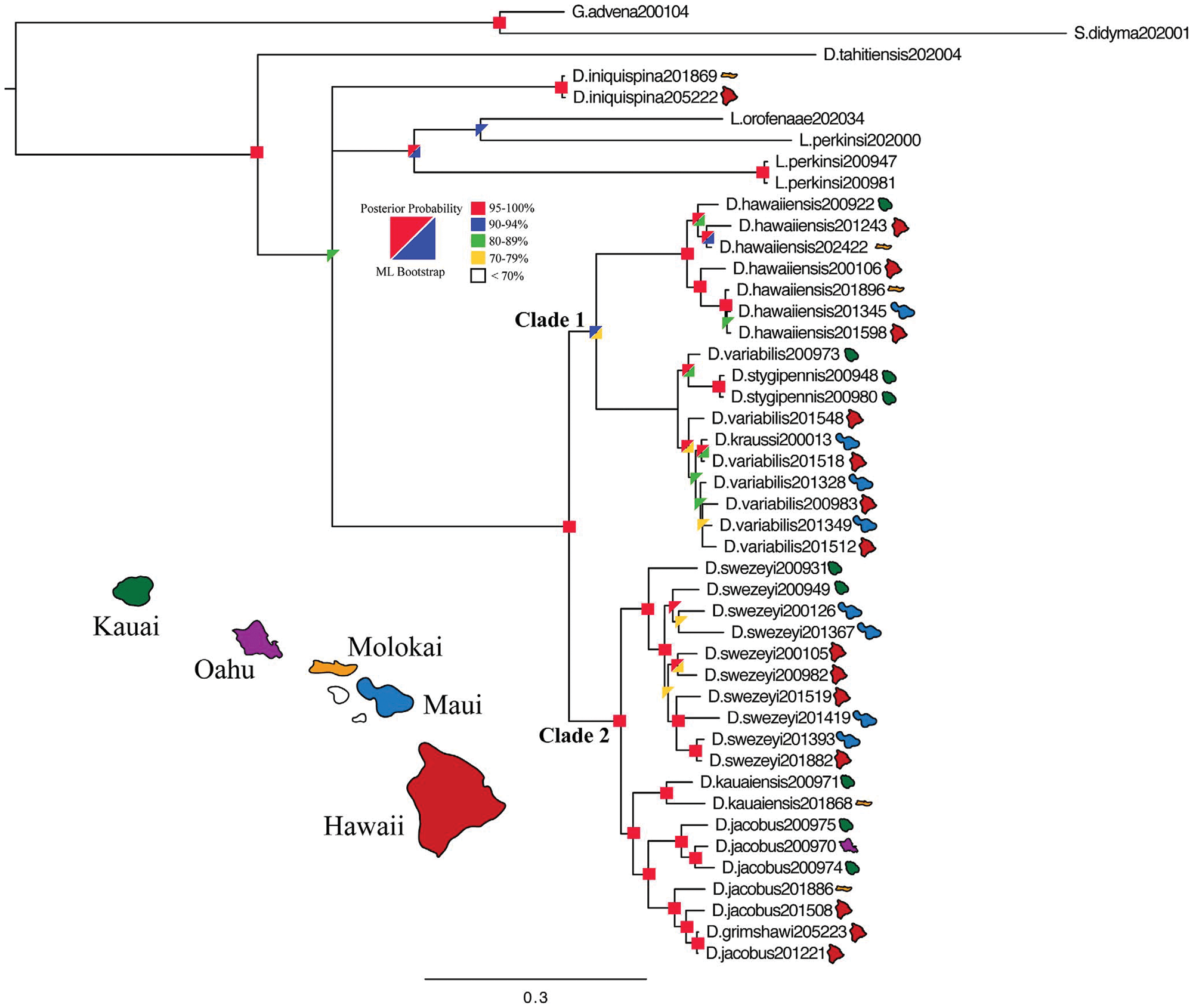 Research | Six-Legged Science: Unlocking the Secrets of the Insect ...