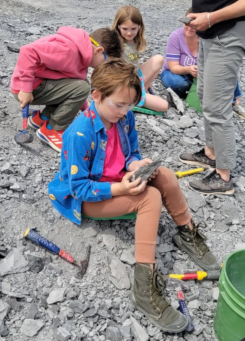 Devonian Geology | NY Rocks! Ancient Life of the Empire State — Museum ...