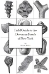 Devonian Geology | NY Rocks! Ancient Life of the Empire State — Museum ...