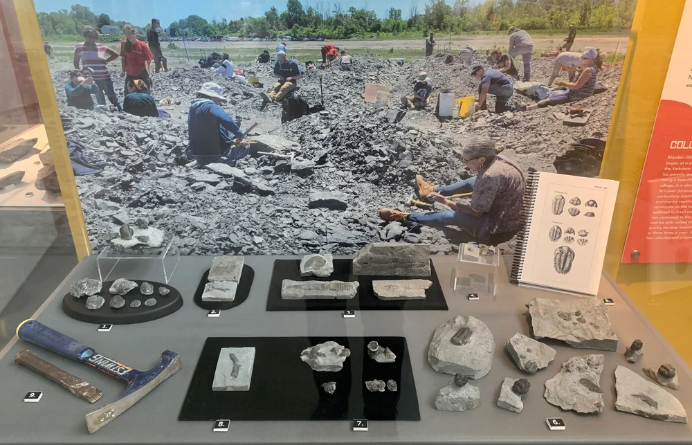 Devonian Geology | NY Rocks! Ancient Life of the Empire State — Museum ...