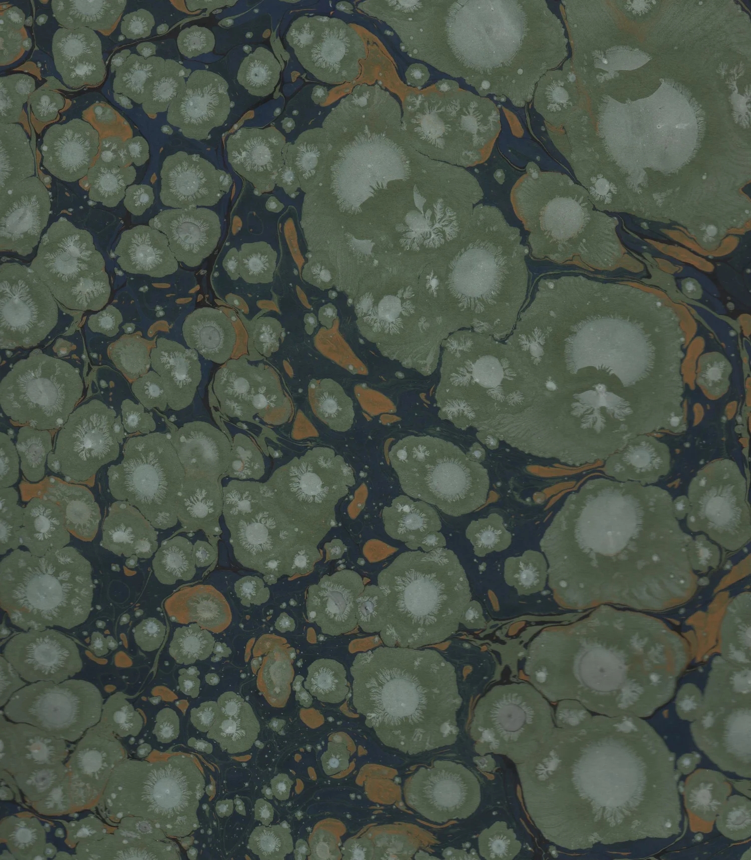 David Coss.art - David Cossart