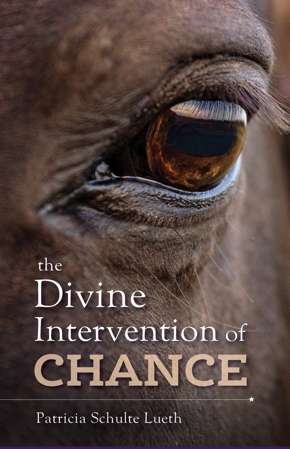 The Divine Intervention of Chance — FOX POINTE PUBLISHING, LLP