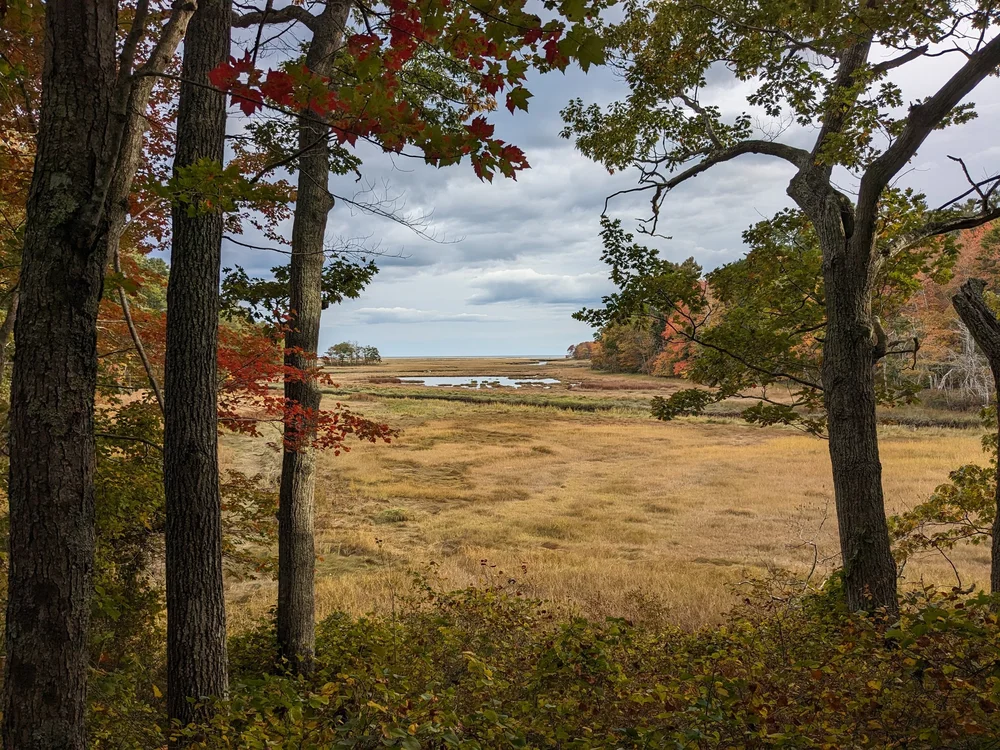 News — Friends of Rachel Carson National Wildlife Refuge