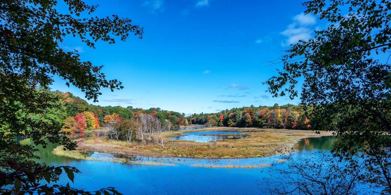 Update: Rachel Carson Center for People and Nature Opens April 6 ...