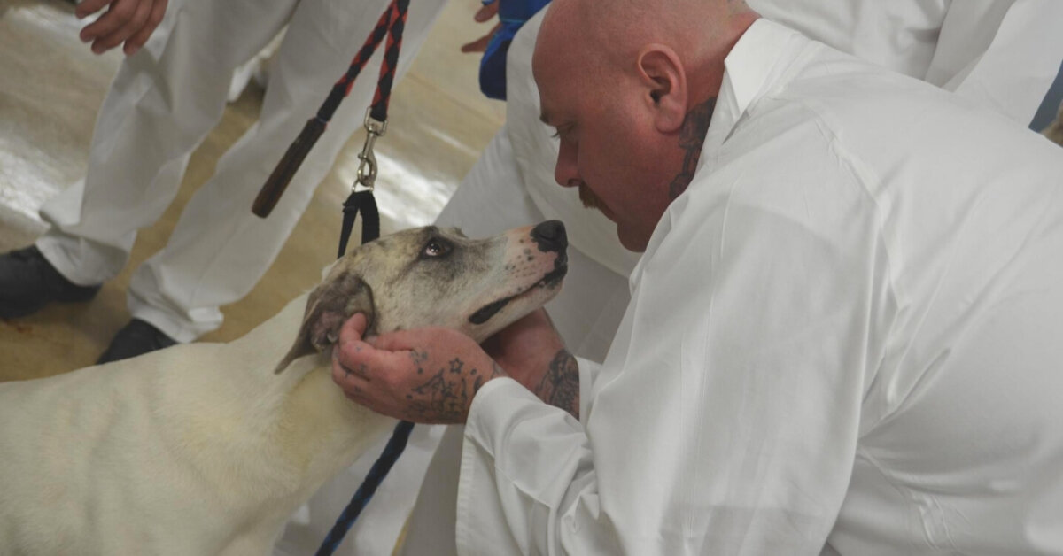 Paws in Prison — Care for Animals