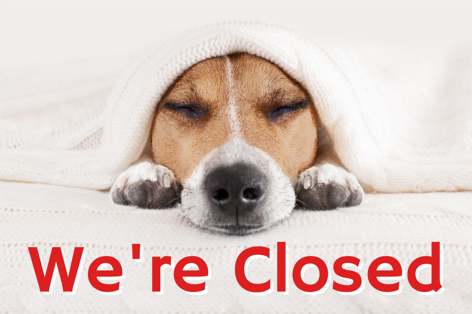 Events — Care for Animals