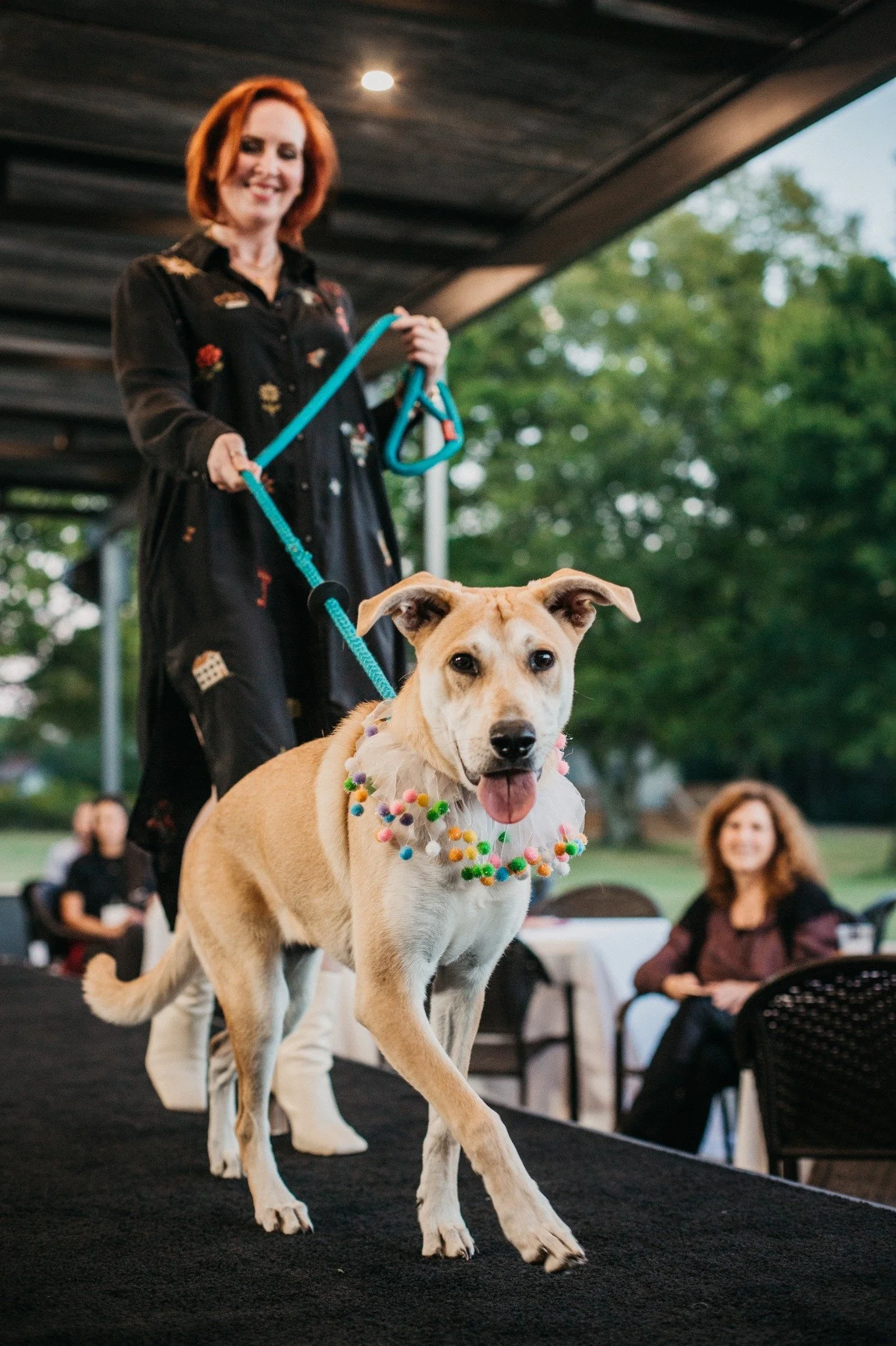 Events — Care for Animals