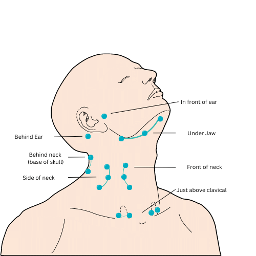 Self Lymph Node Screening — Starlight Health